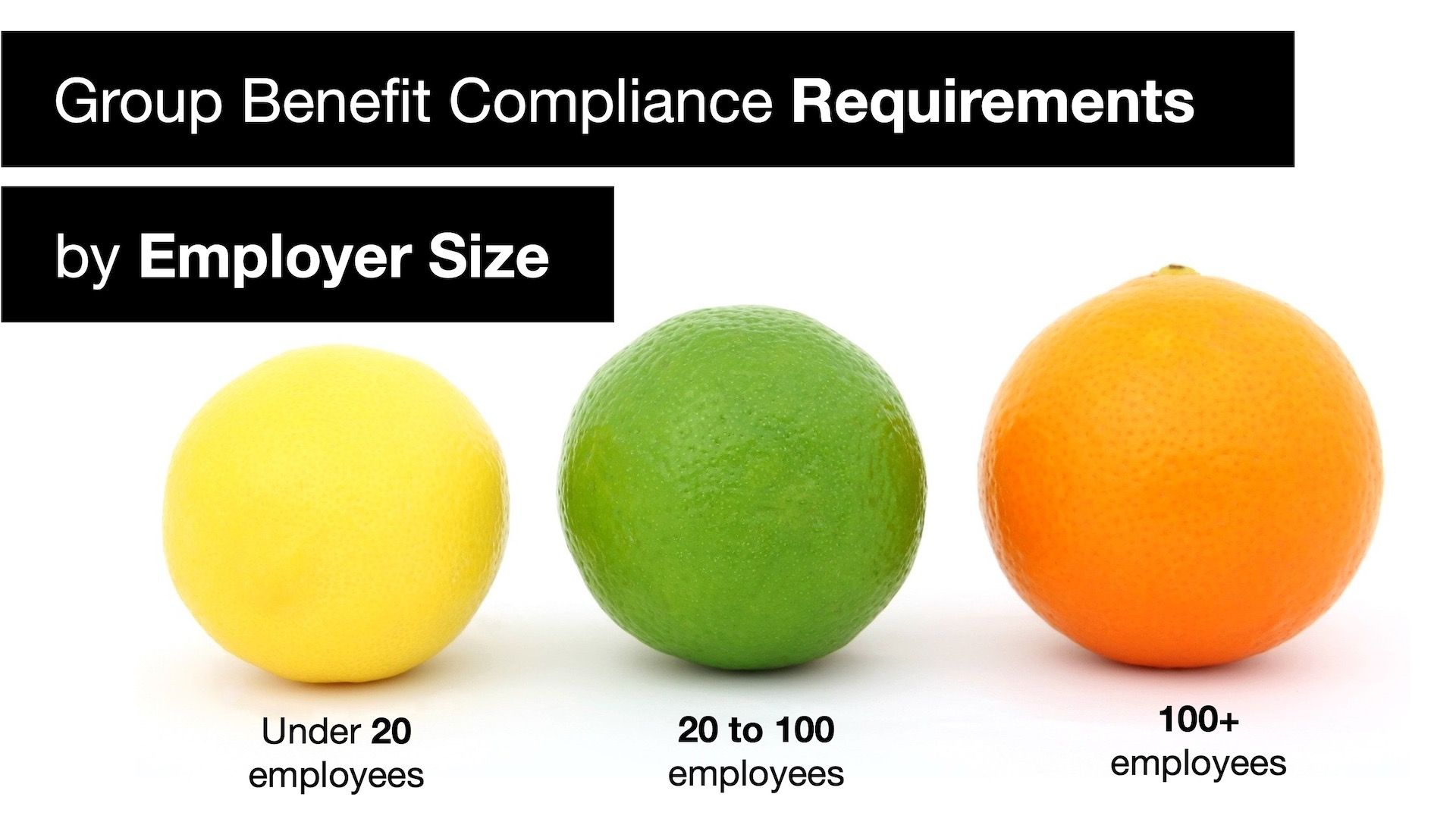 Group Benefit Compliance Requirements: By Employer Size - ComplianceBug